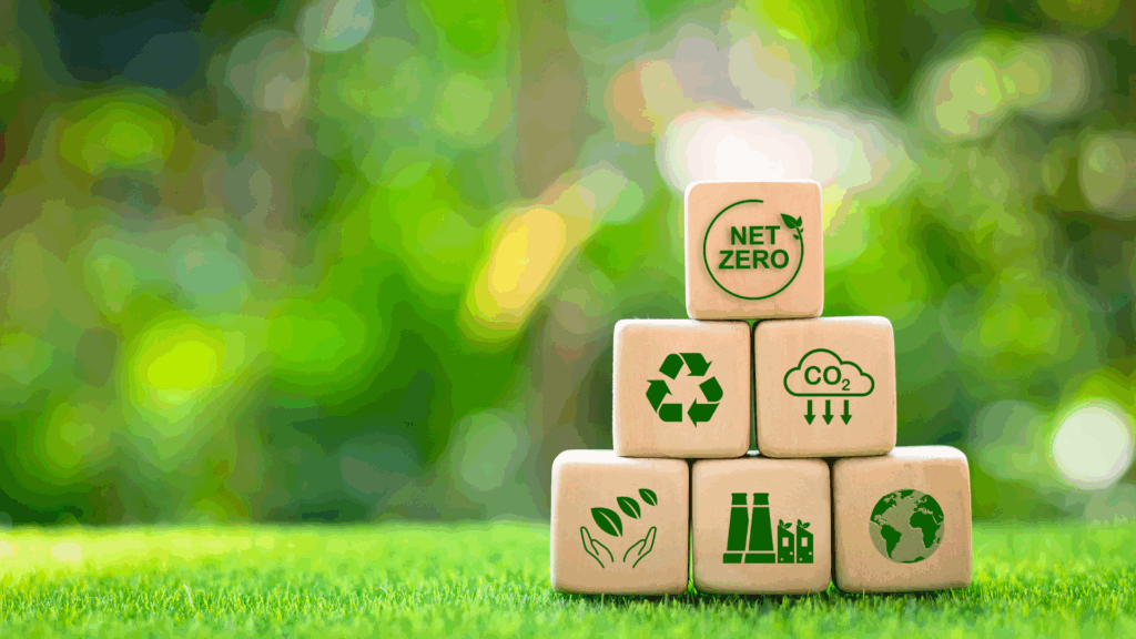 Nelson's Climate Target : How 2019 emissions might be reduced 43% by ...